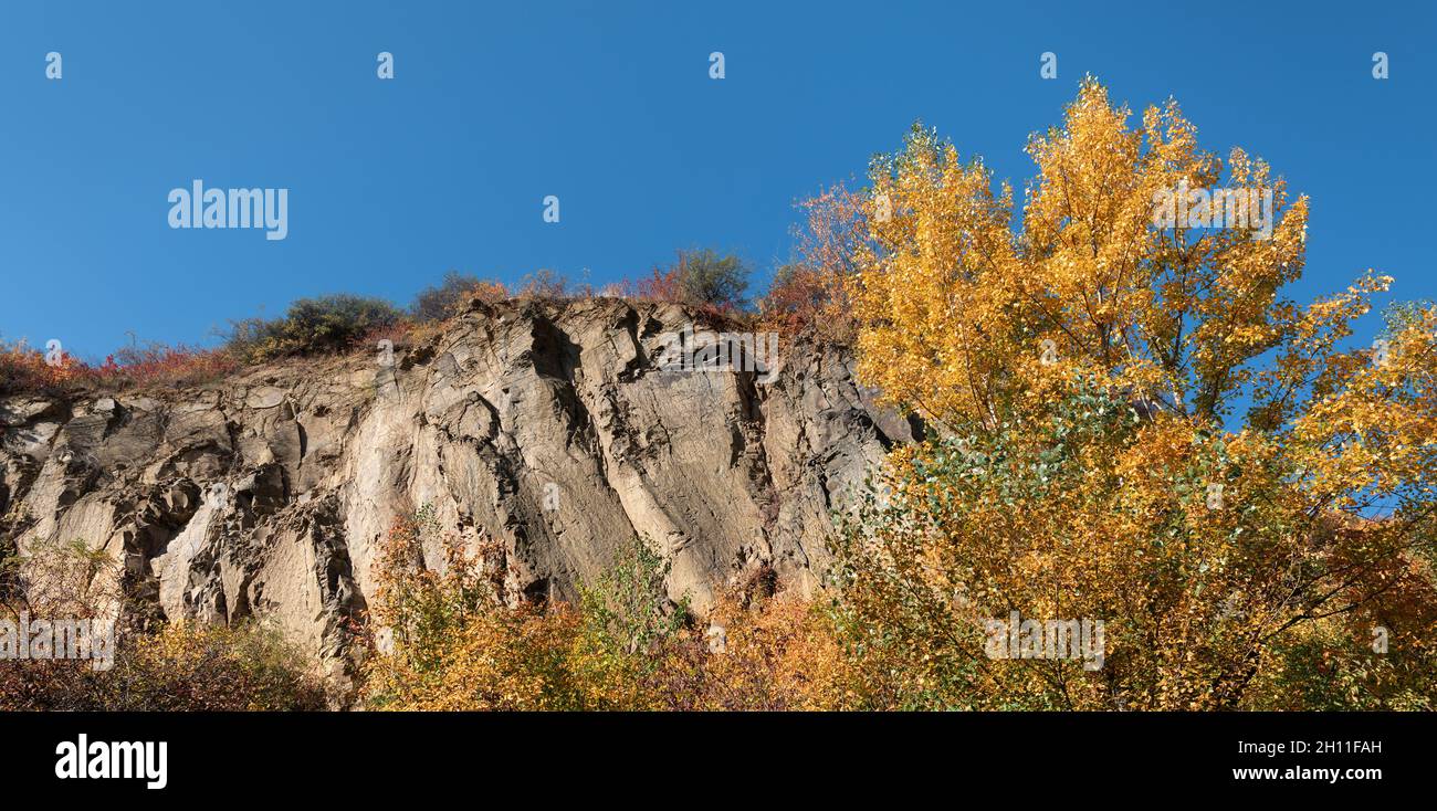 Golden autumn with colourful trees in old quarry. Rocks and yellow ...