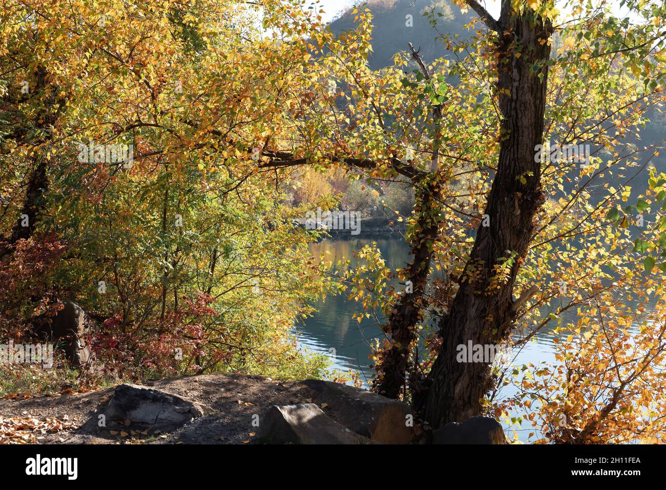Golden autumn with colourful trees in old flooded quarry. Rocks, lake ...