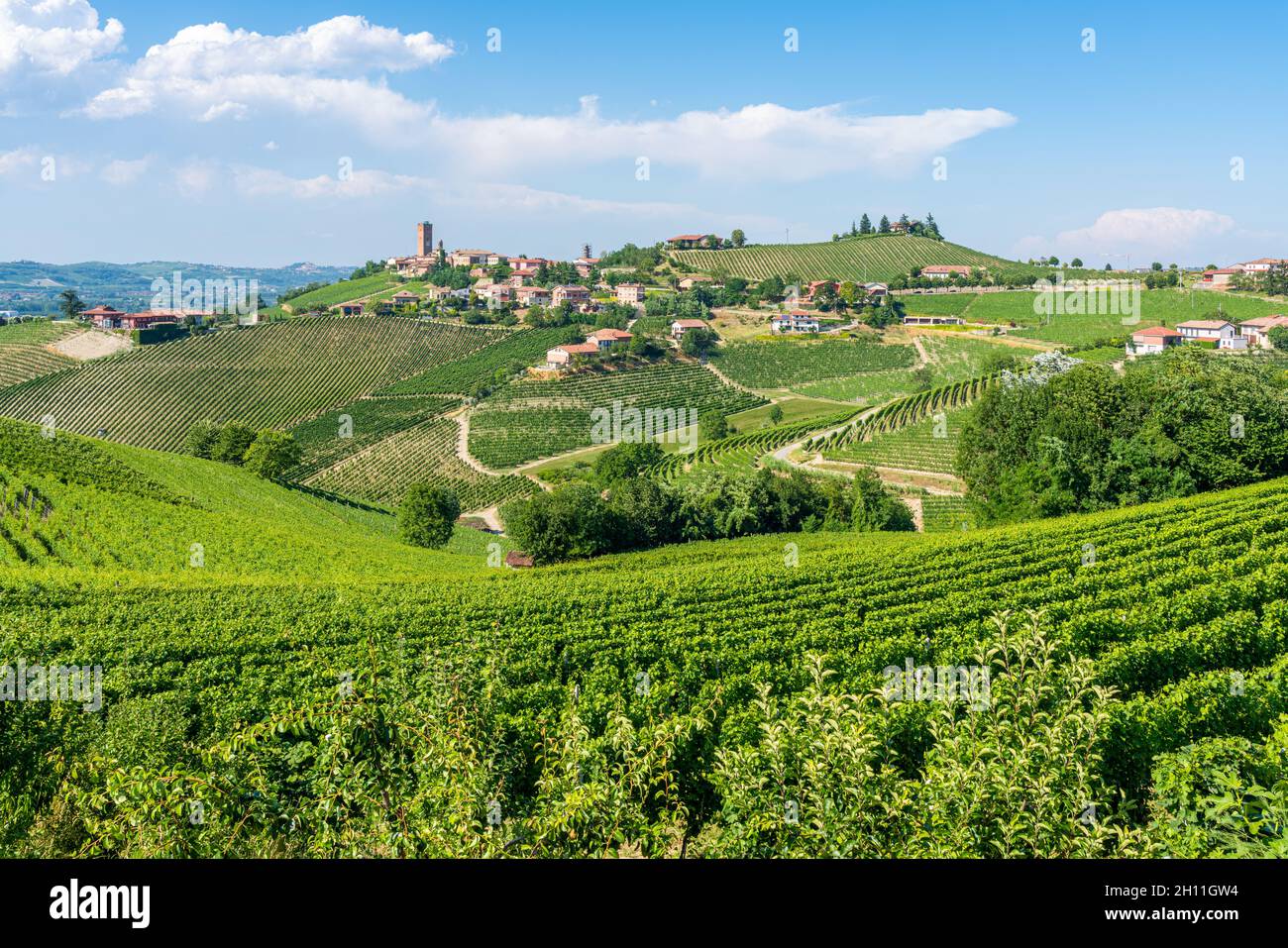 Beautiful hills and vineyards surrounding Barbaresco village in the ...
