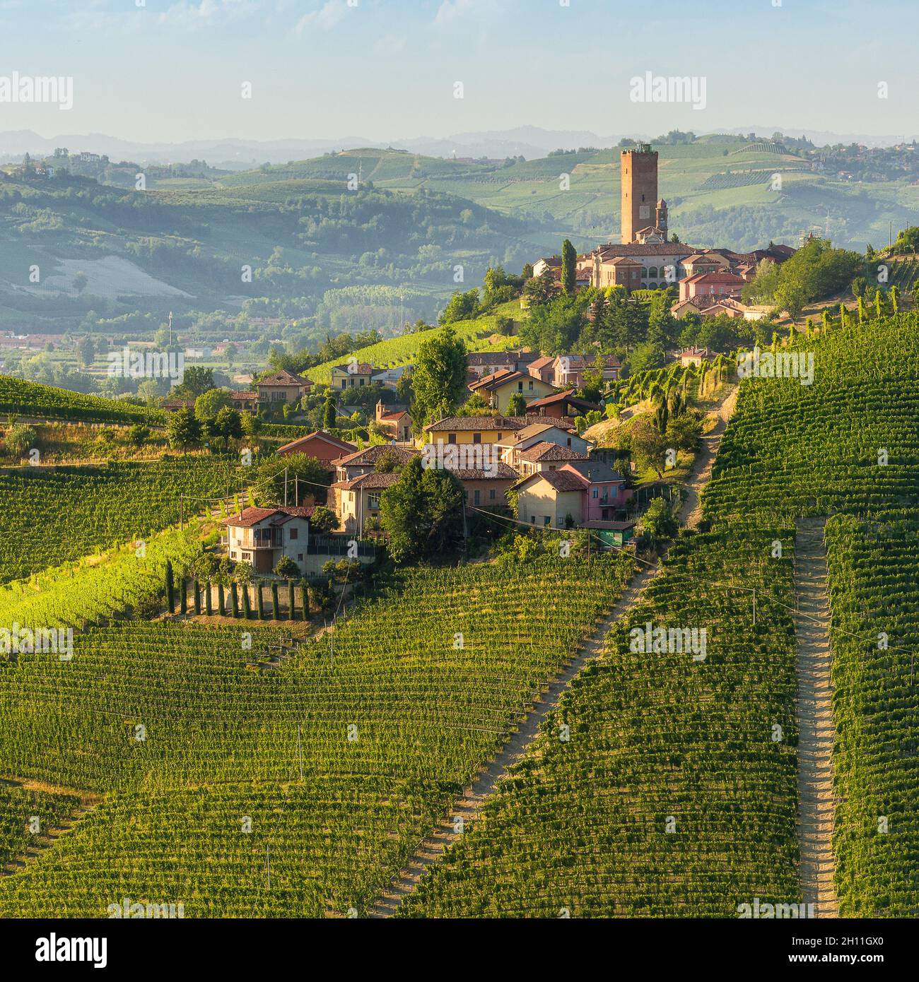 Beautiful hills and vineyards surrounding Barbaresco village in the ...