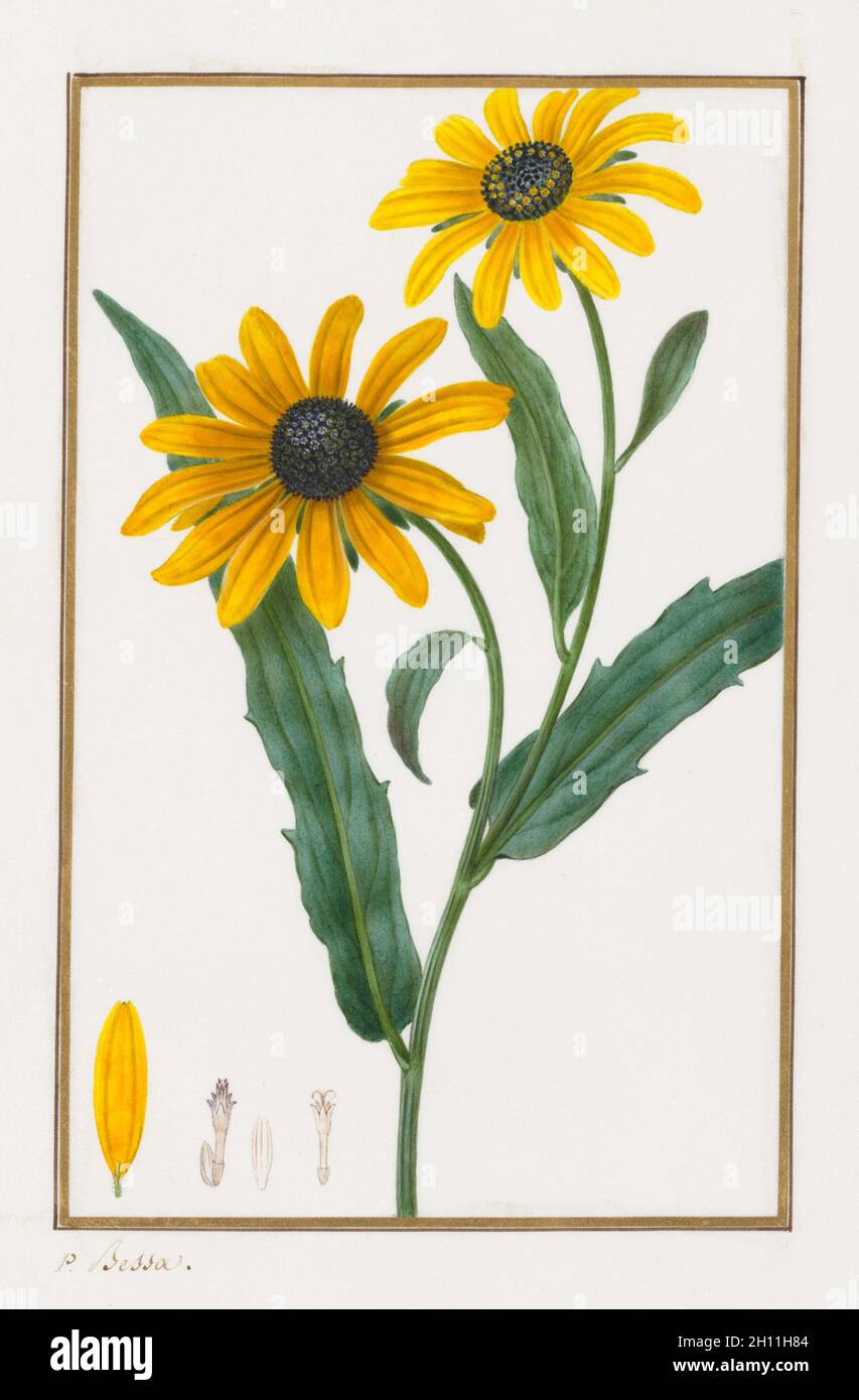 Susan french hi-res stock photography and images - Alamy