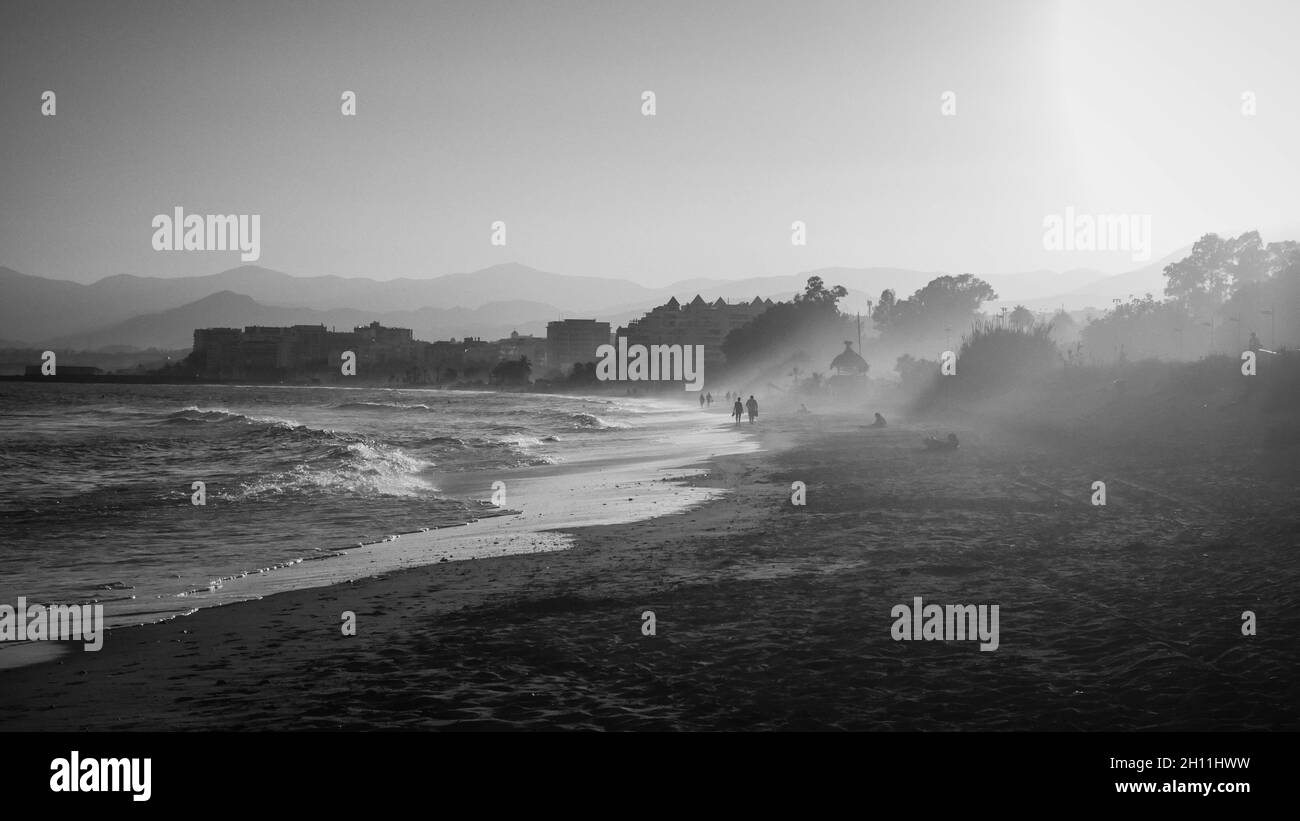 Grayscale of an ocean beach Stock Photo - Alamy