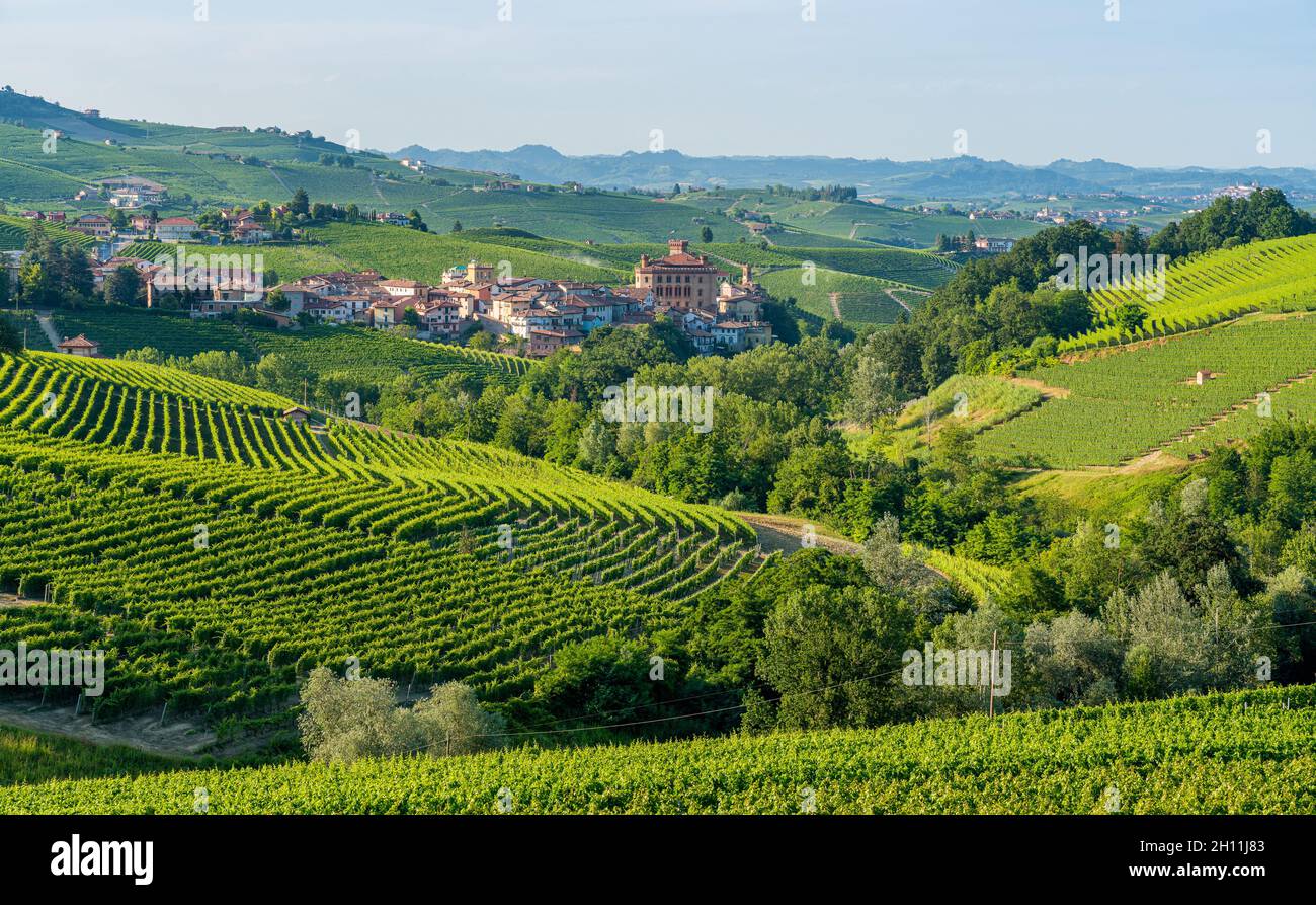The beautiful village of Barolo and its vineyards on a summer afternoon ...