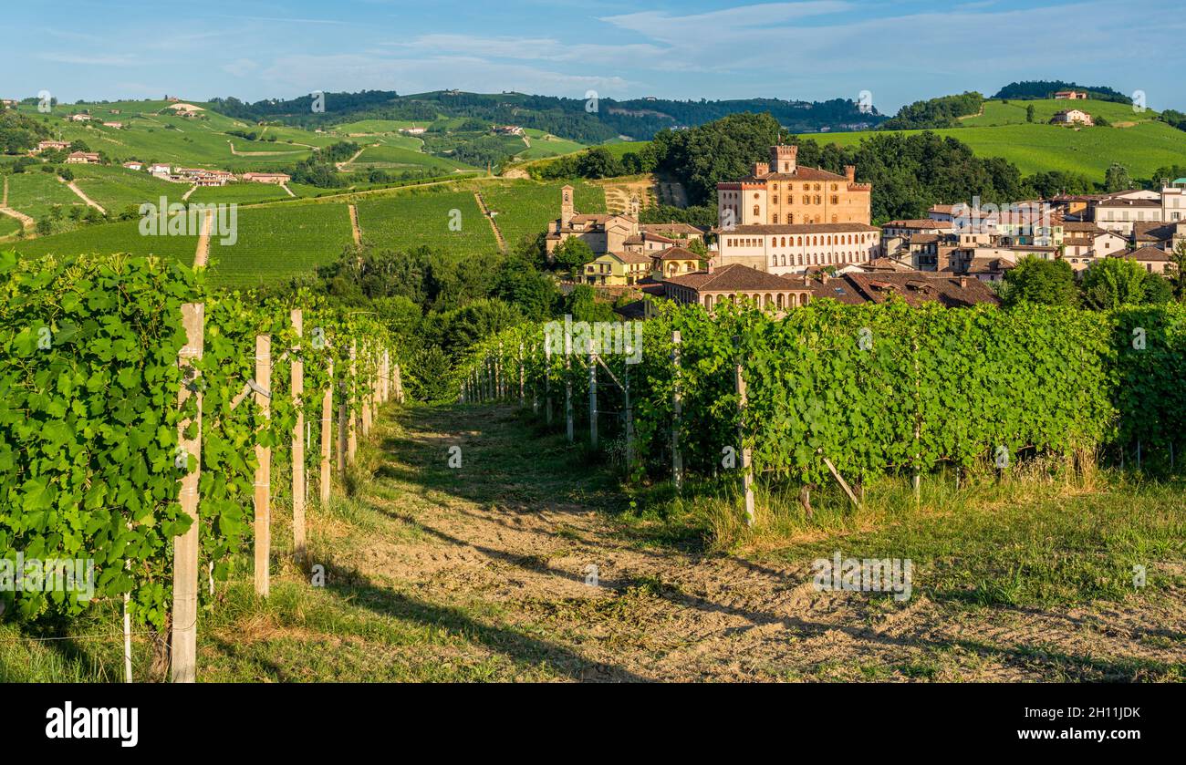 The beautiful village of Barolo and its vineyards on a summer afternoon ...