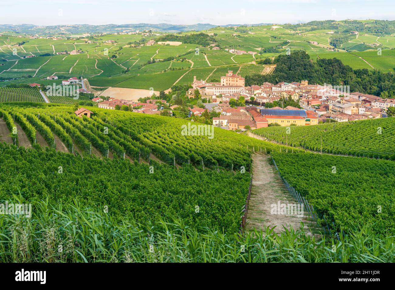 The beautiful village of Barolo and its vineyards on a summer afternoon ...