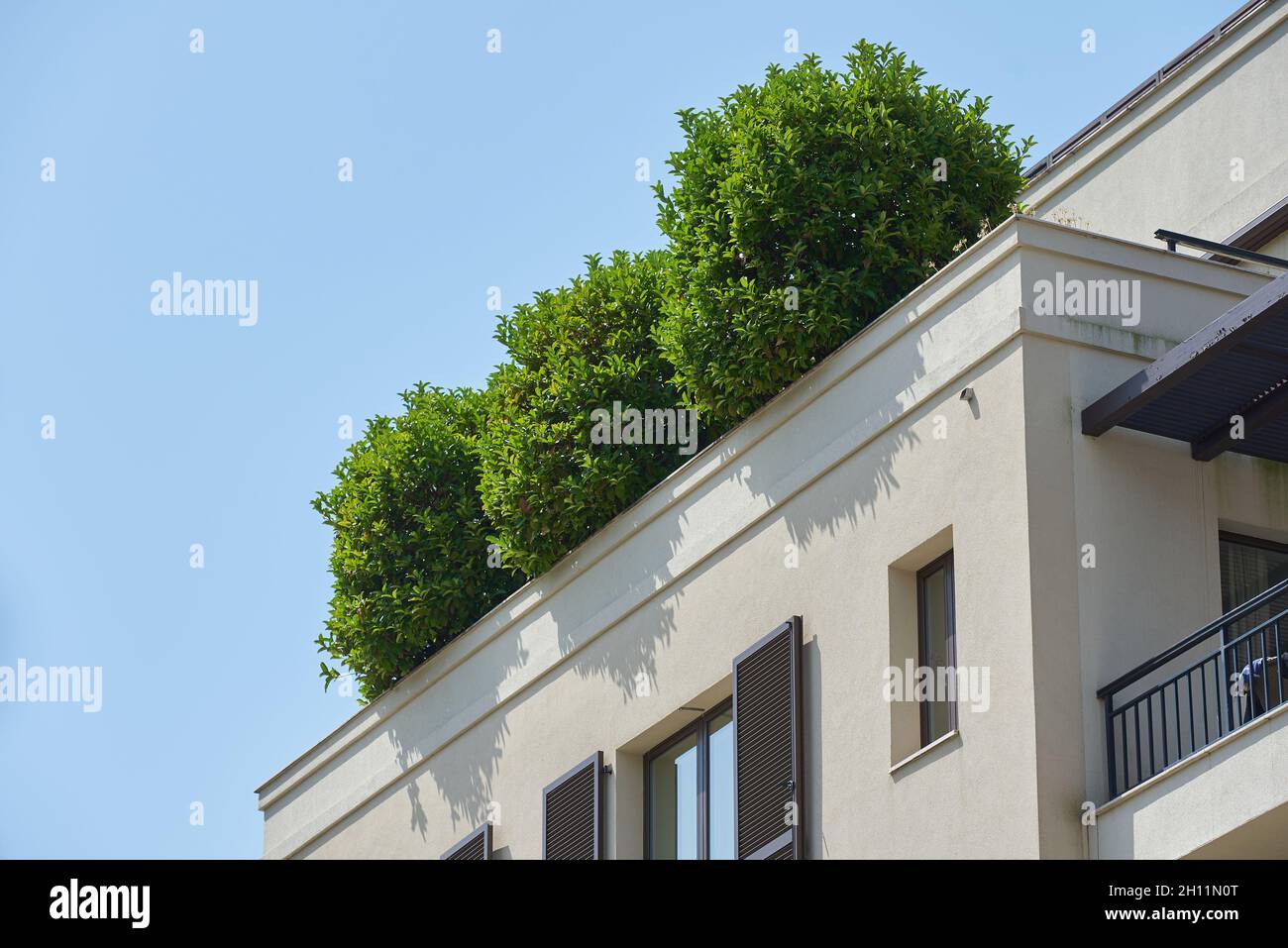 Lush green bushes grow on the roof of the building Stock Photo - Alamy