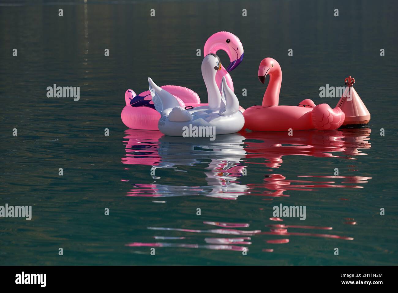 Inflatable flamingos in the sea for safe swimming Stock Photo - Alamy