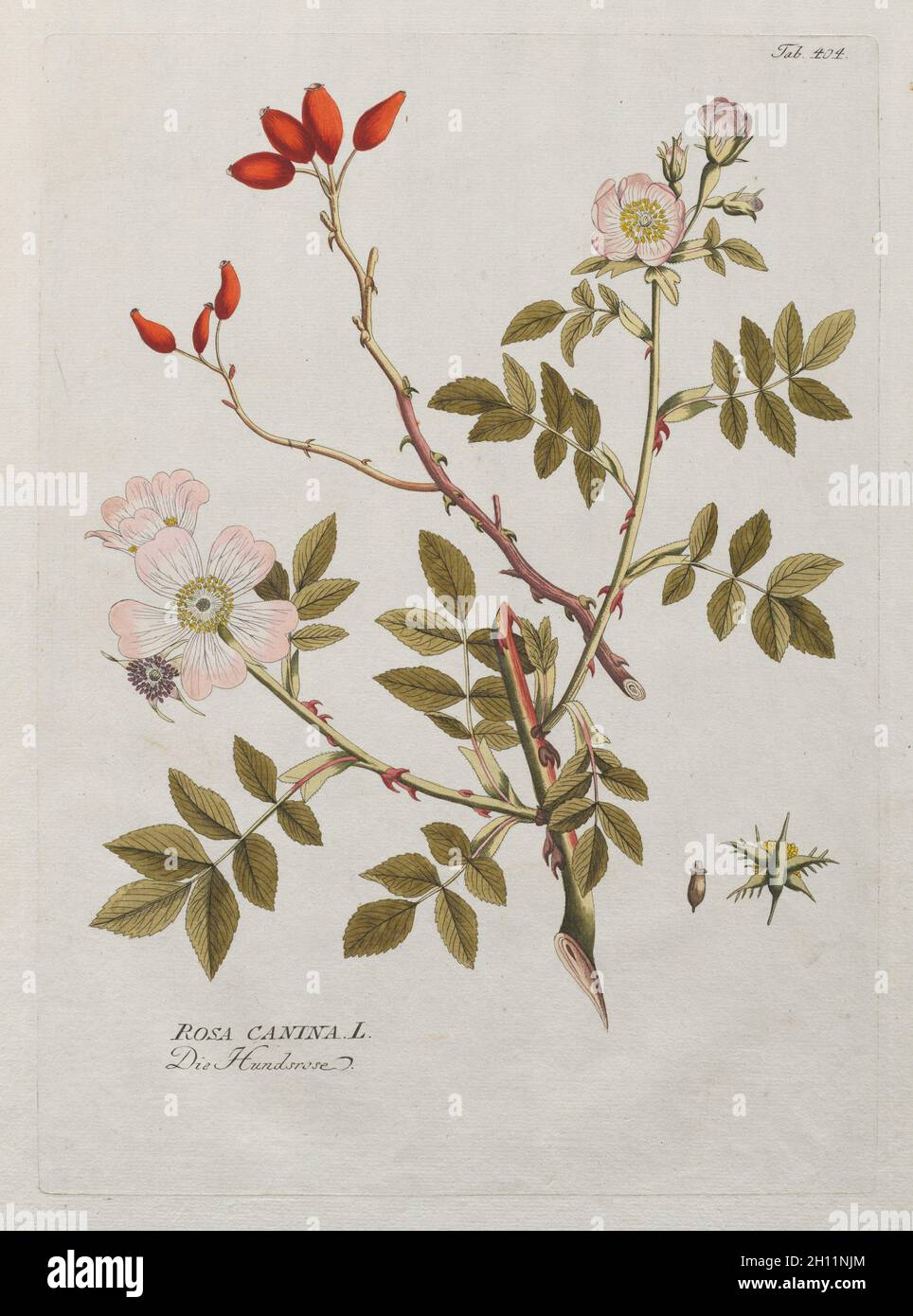 1788 1812 hi-res stock photography and images - Alamy