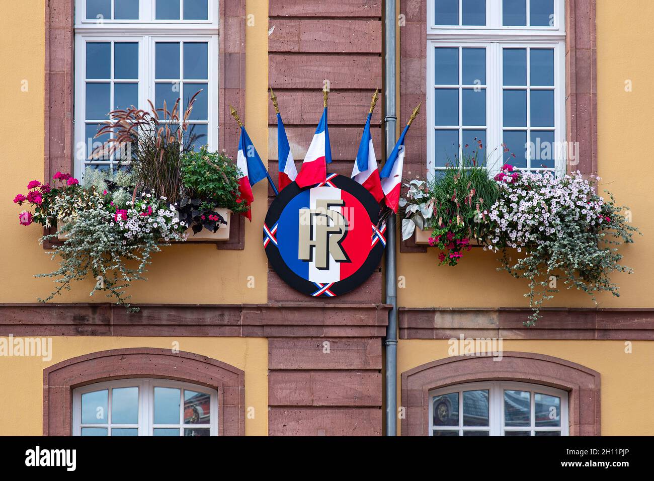 French flag on a shield with the letters "RF" for French Republic, on ...