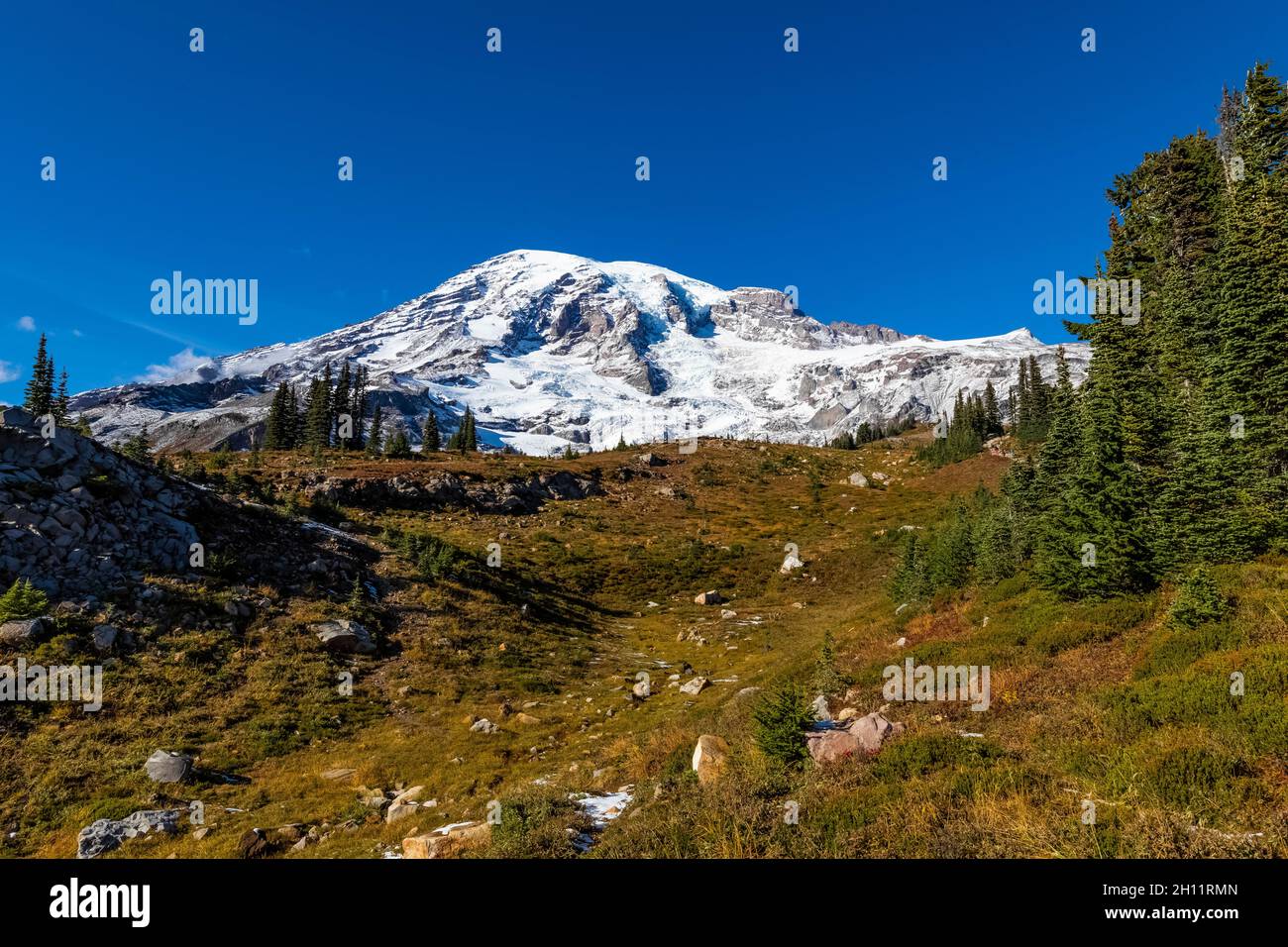 October subalpine meadow near Glacier Vista in the Paradise area of ...