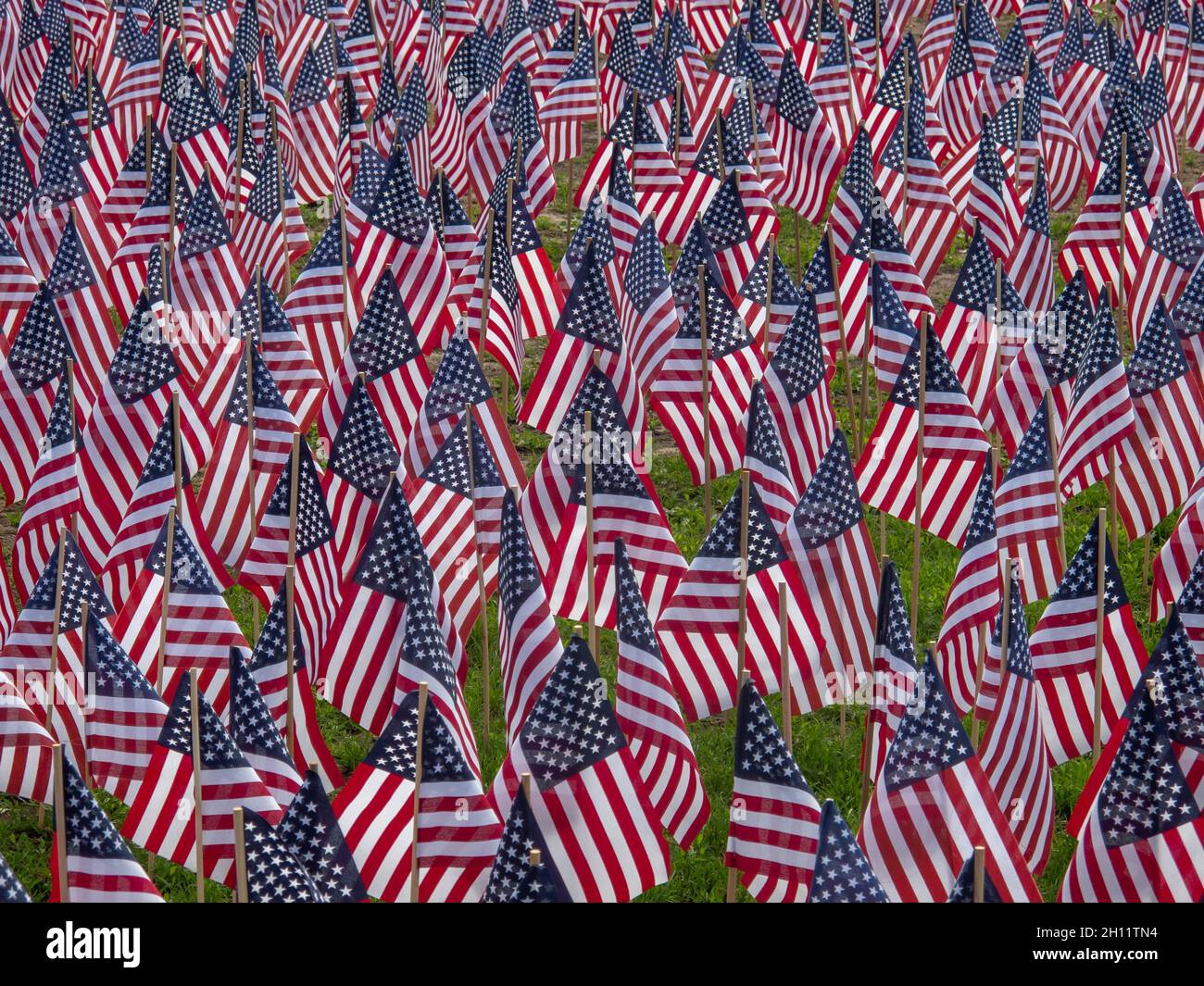 American flags in Boston Common Stock Photo - Alamy