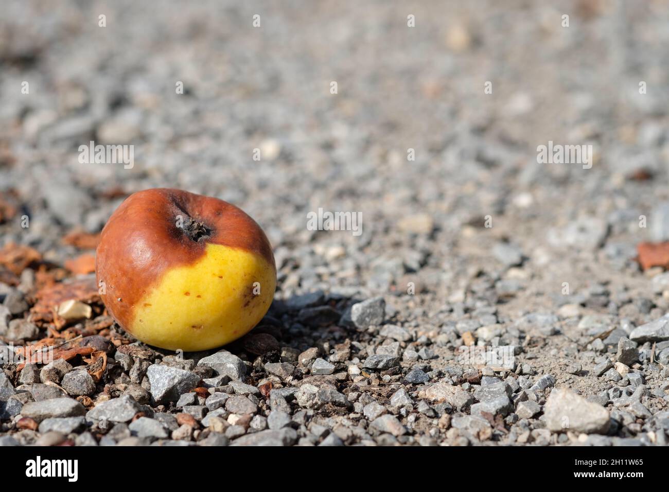 Ethanol fermentation hi-res stock photography and images - Alamy