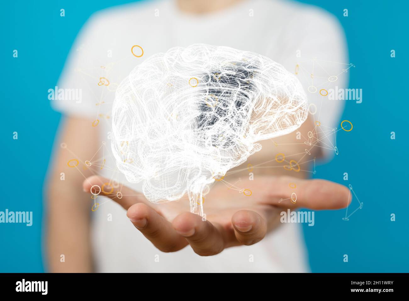Human brain in hands as a mind, power, and energy concept Stock Photo ...