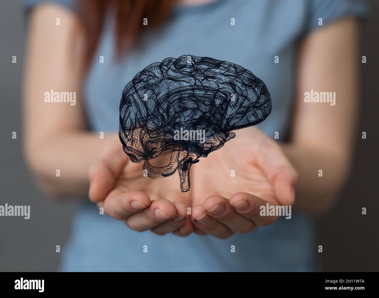Human brain in hands as a mind, power, and energy concept Stock Photo ...