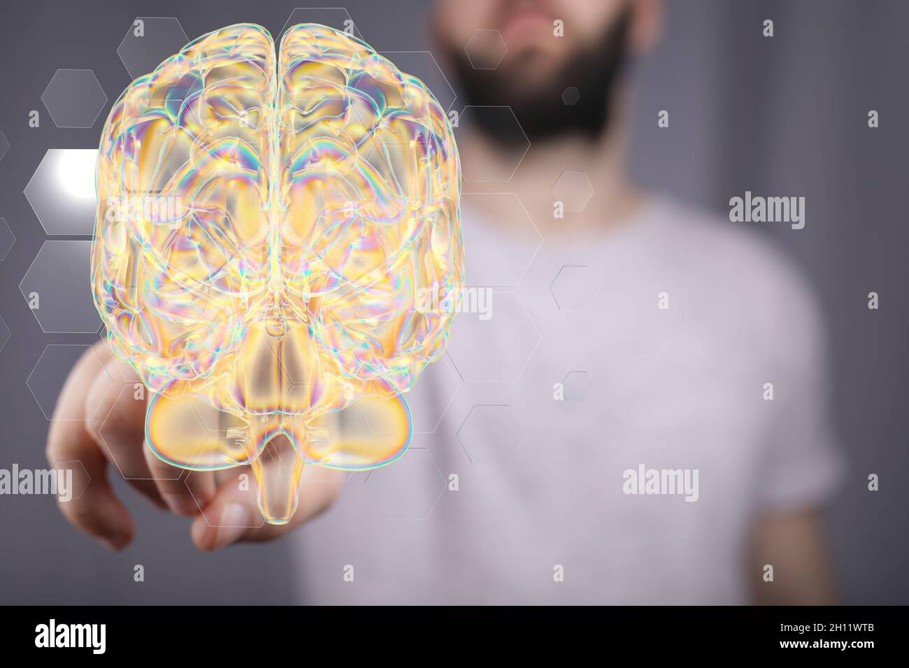 Human brain in hands as a mind, power, and energy concept Stock Photo ...