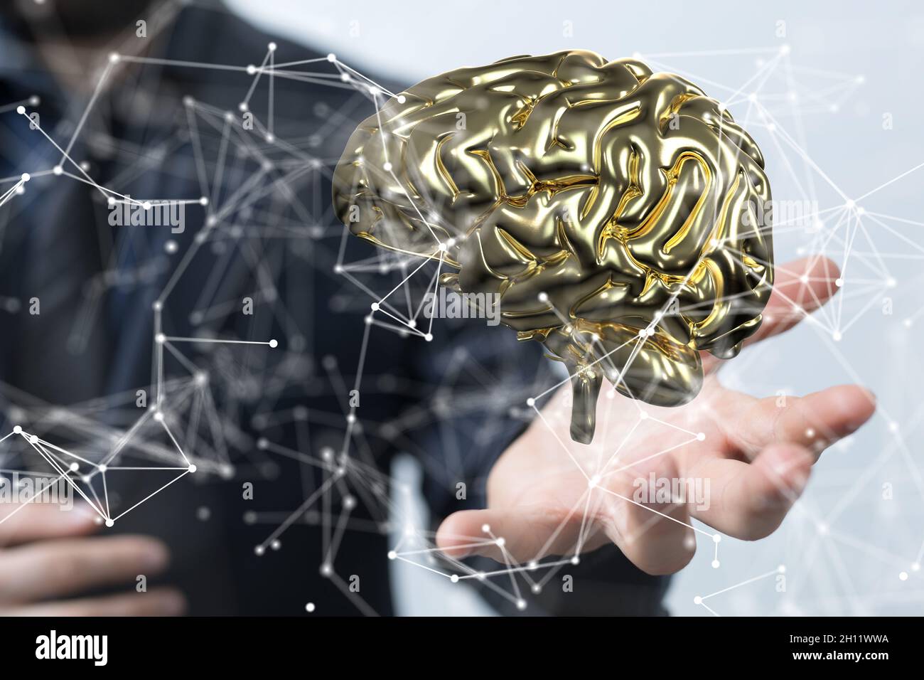 Human brain in hands as a mind, power, and energy concept Stock Photo ...