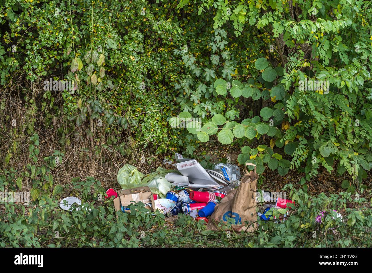 meet the environmental pig, Environmental outrage, Waste in nature ...