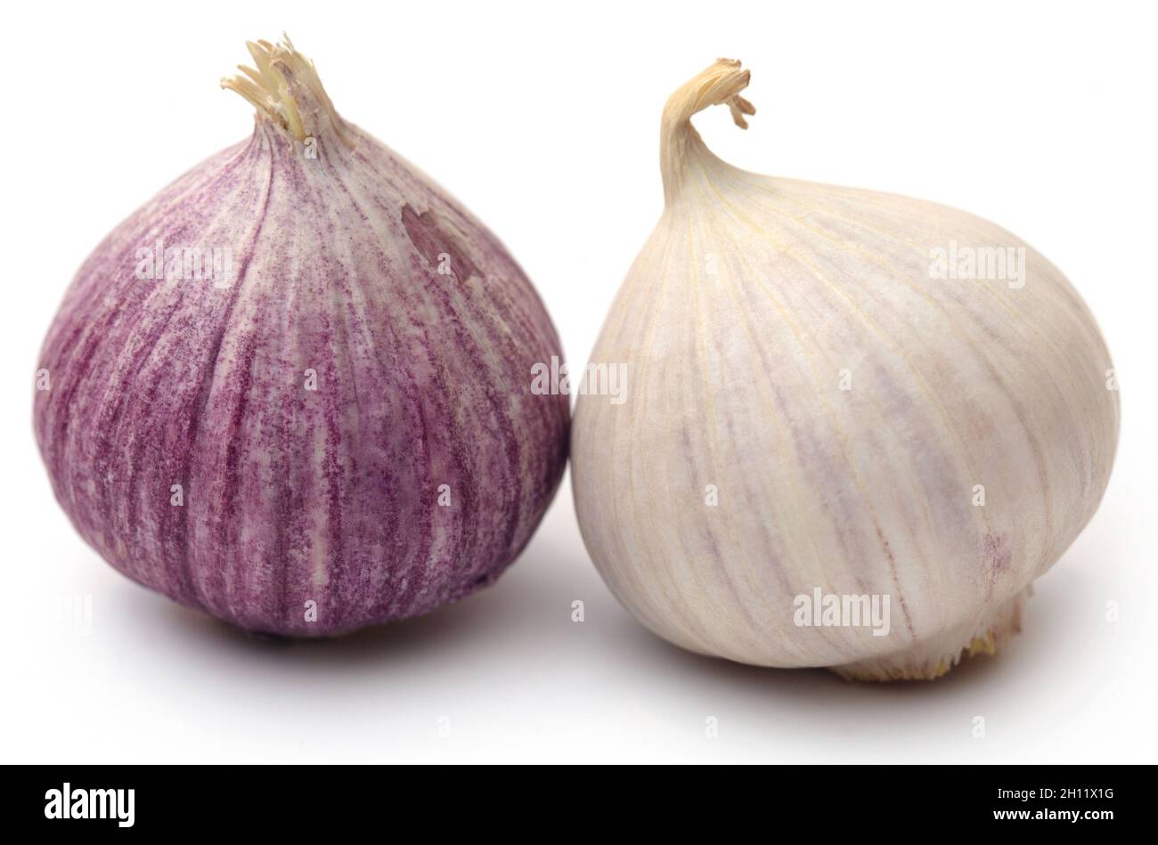 Solo or single clove garlic over white background Stock Photo - Alamy