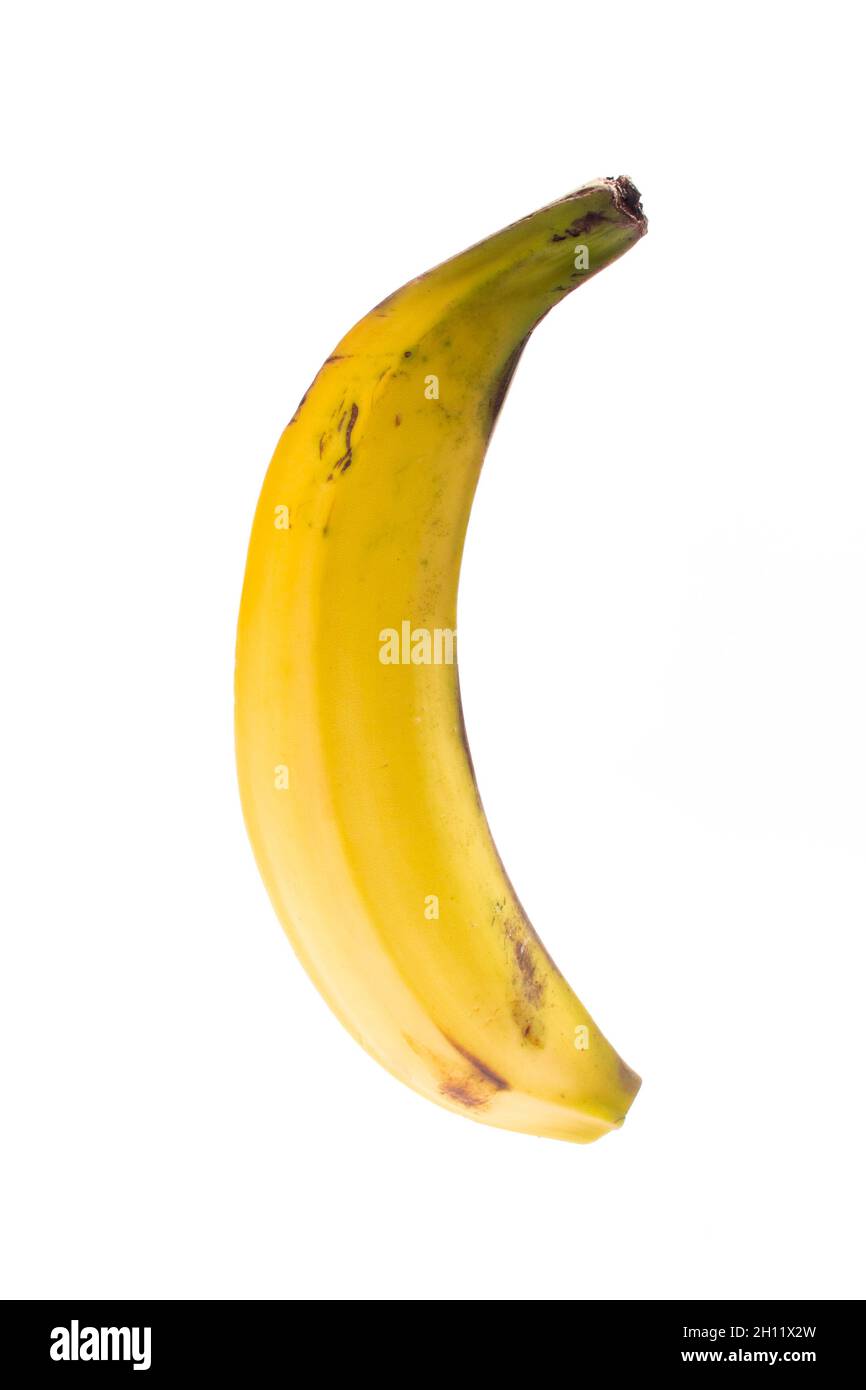 One banana on white background. Large banana Stock Photo - Alamy