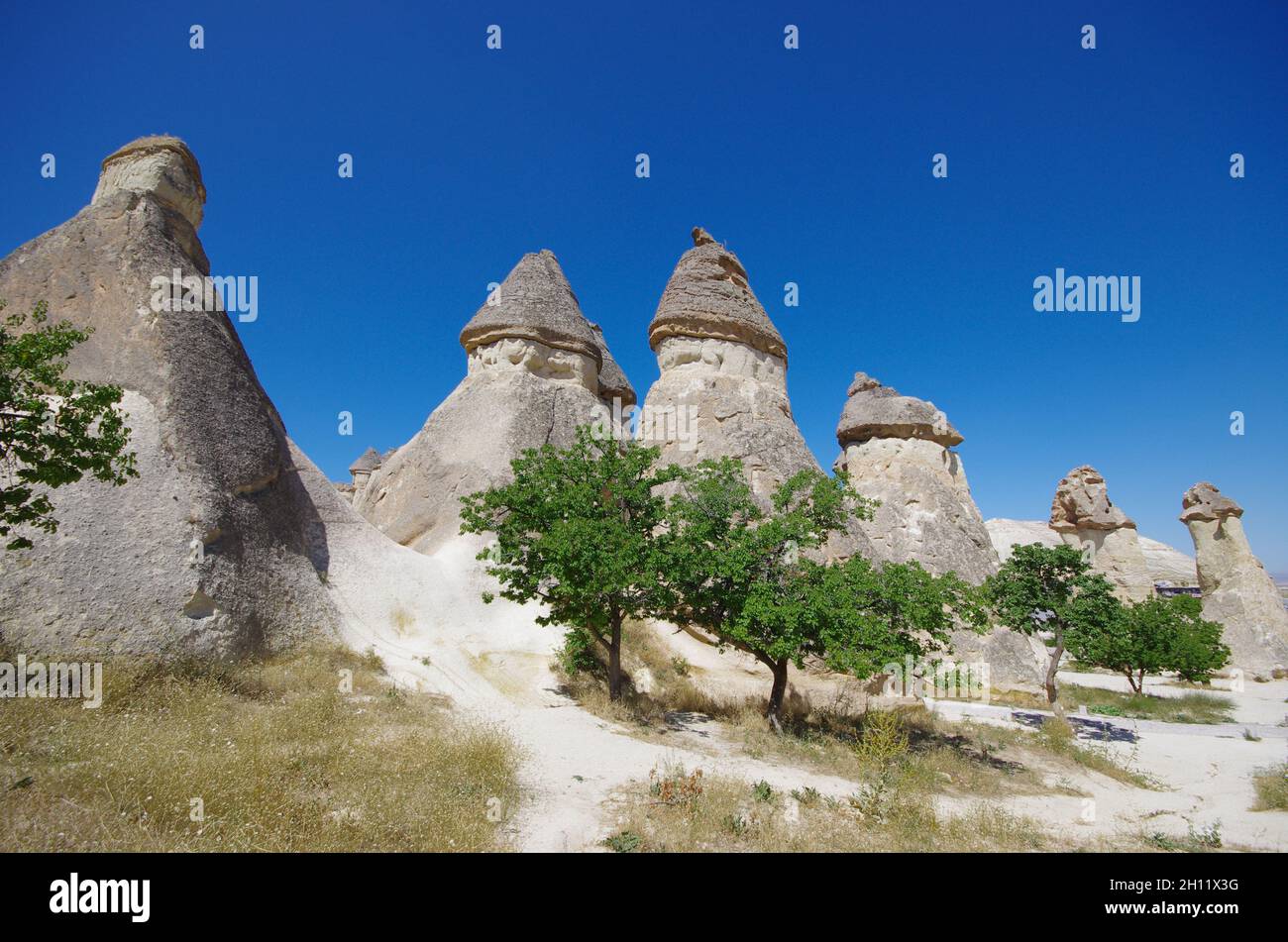 Cappadocia -Turkey - Fairy chimneys in the Pasabag valley Stock Photo ...