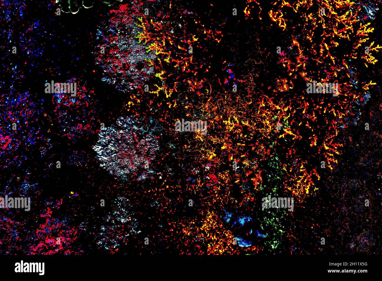 An abstract or sci-fi background or texture with psychedelic colors ...
