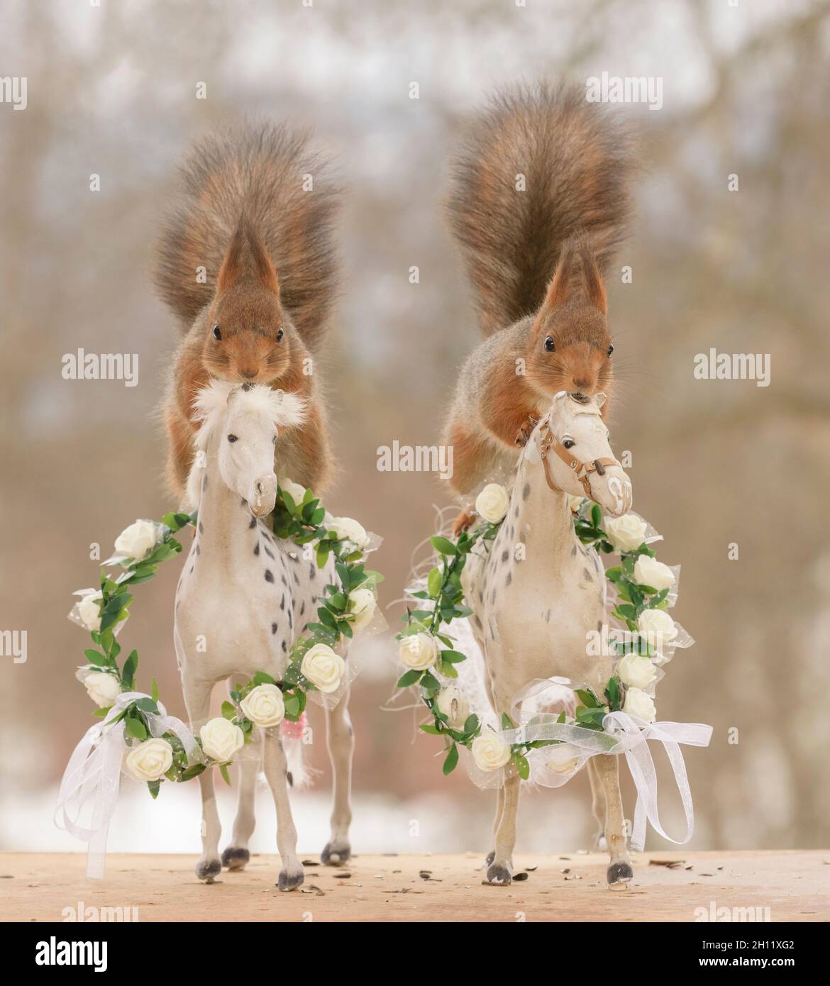 red squirrels are standing on horses Stock Photo - Alamy