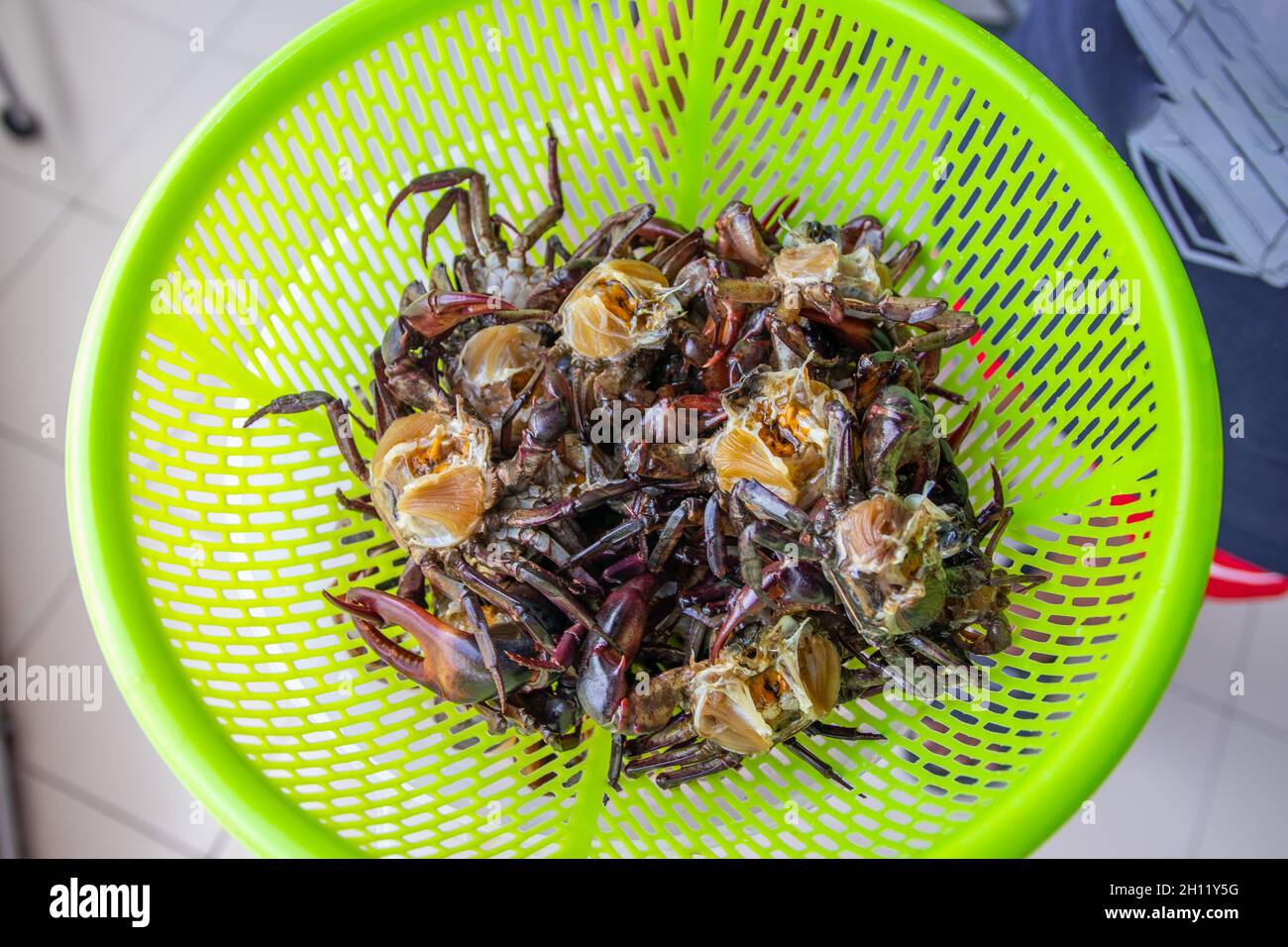 Closeup shot of Freshwater crabs in a woman's hand Stock Photo - Alamy