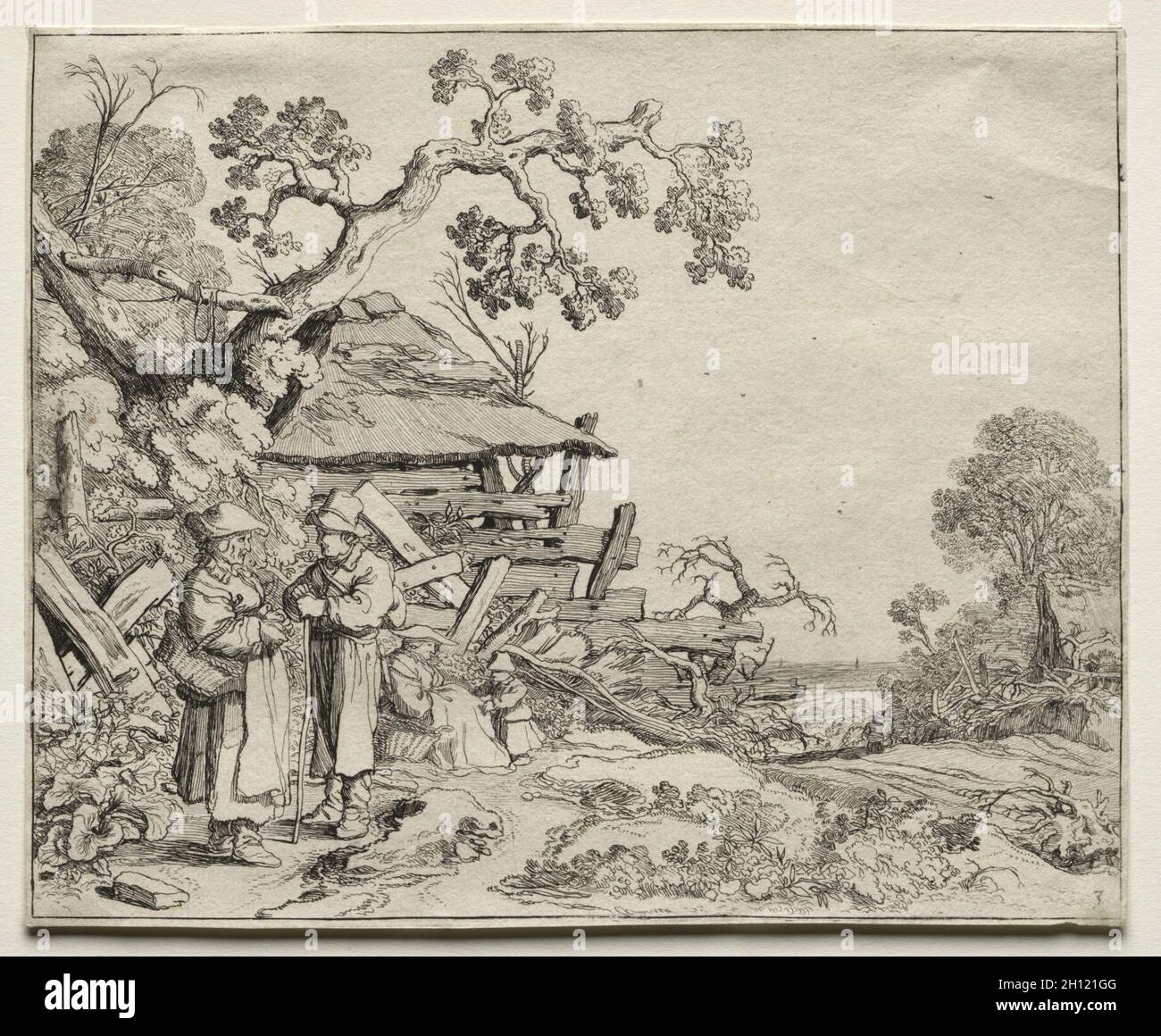 Pieter Molyn High Resolution Stock Photography and Images - Alamy