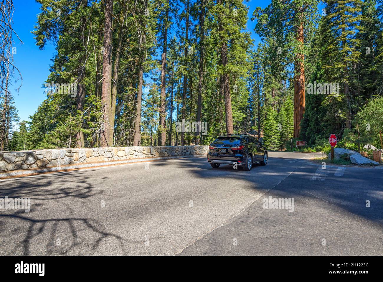 A car traveling on the Generals Highway through Sequoia & Kings Canyon ...