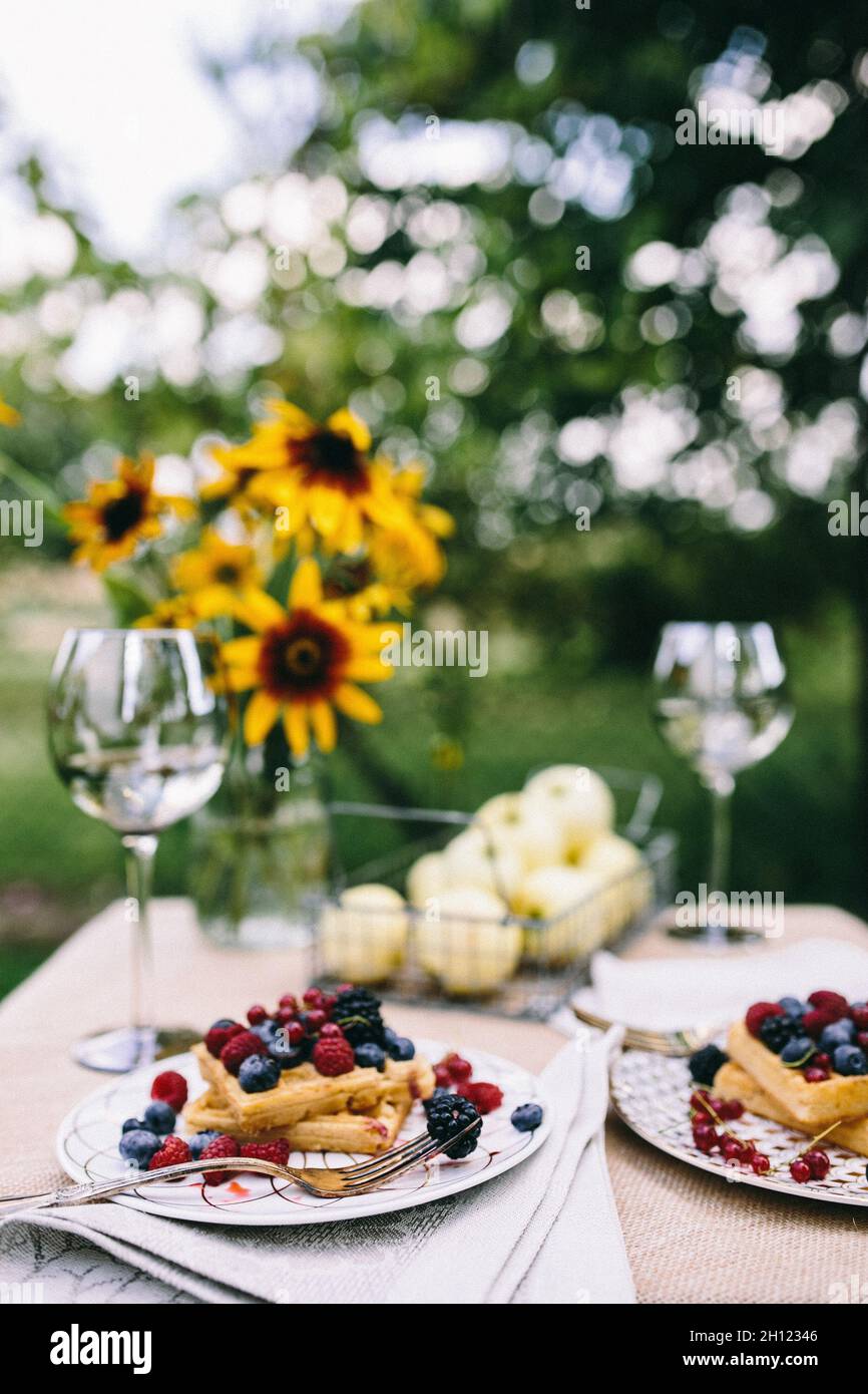 Healthy lunch in the garden Stock Photo - Alamy