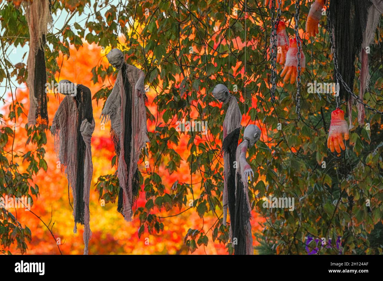 Hanging ghost decorations hi-res stock photography and images - Alamy