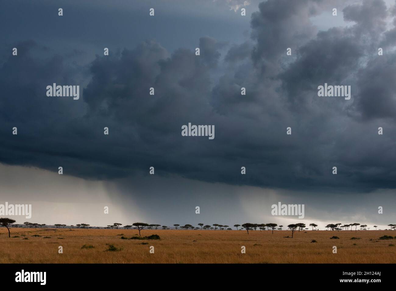 Rainstorm on the plain hi-res stock photography and images - Alamy