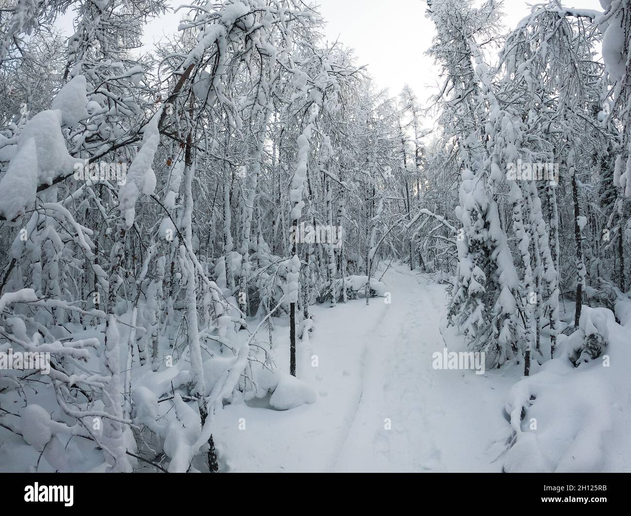 North pole landscape december hi-res stock photography and images - Alamy