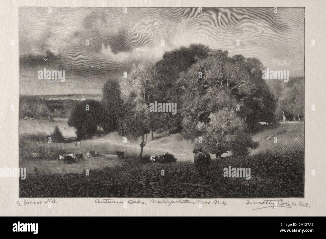 Autumn Oaks, 1917. Timothy Cole (American, 1852-1931). Wood engraving ...