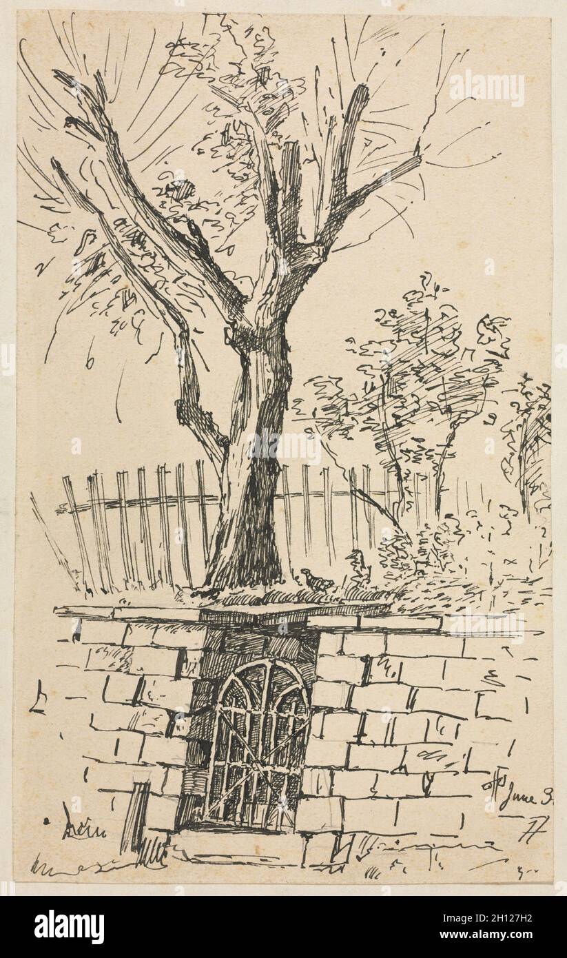Tree on Top of a Stone Wall, Cleveland, c. 1870-1909. Otto H. Bacher ...