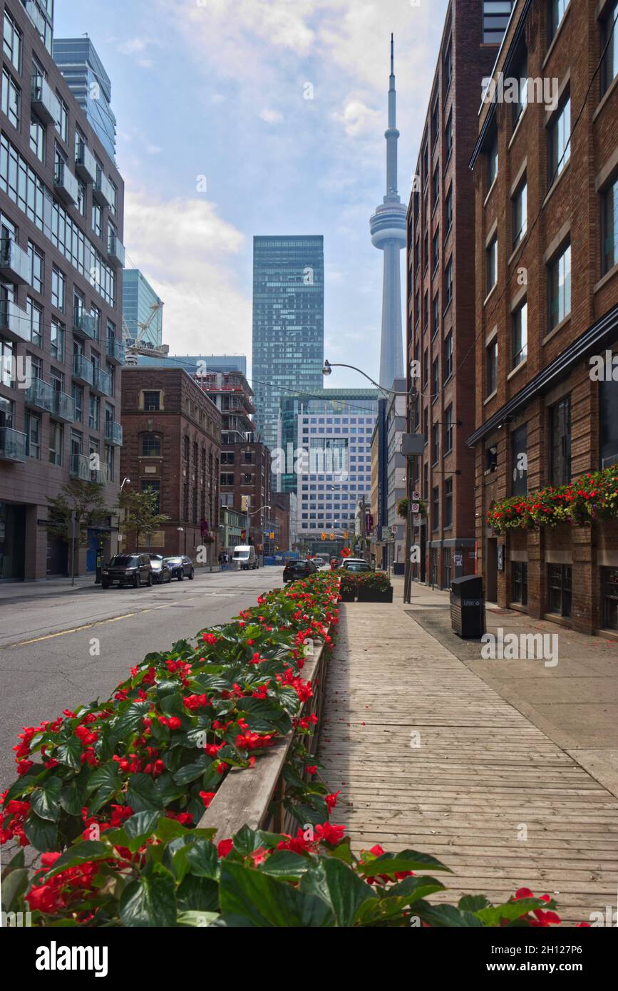 Seasonal flowers greet the passer by in the downtown, Toronto, Canada ...
