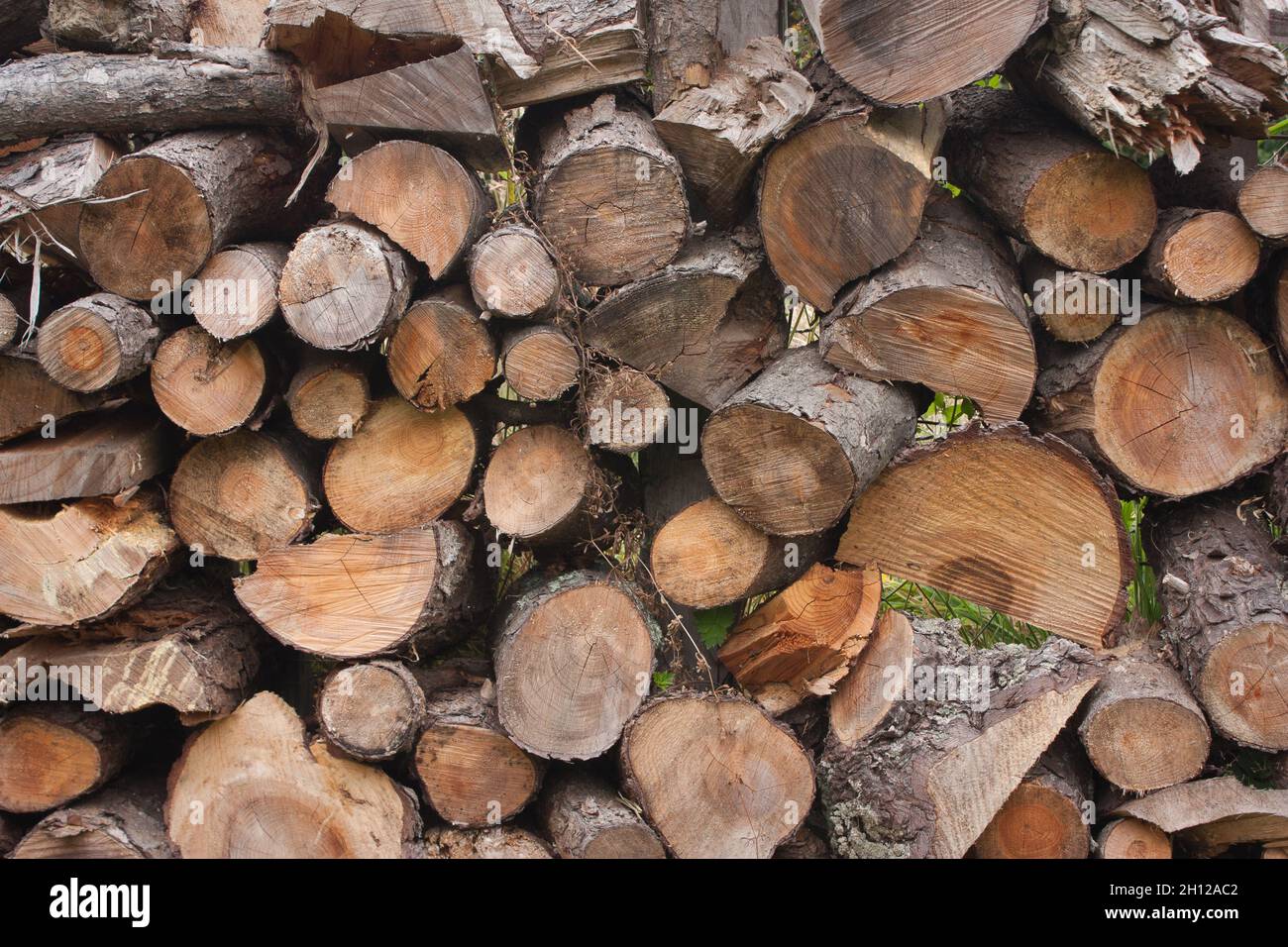 Stacked fire wood of various sizes Stock Photo - Alamy