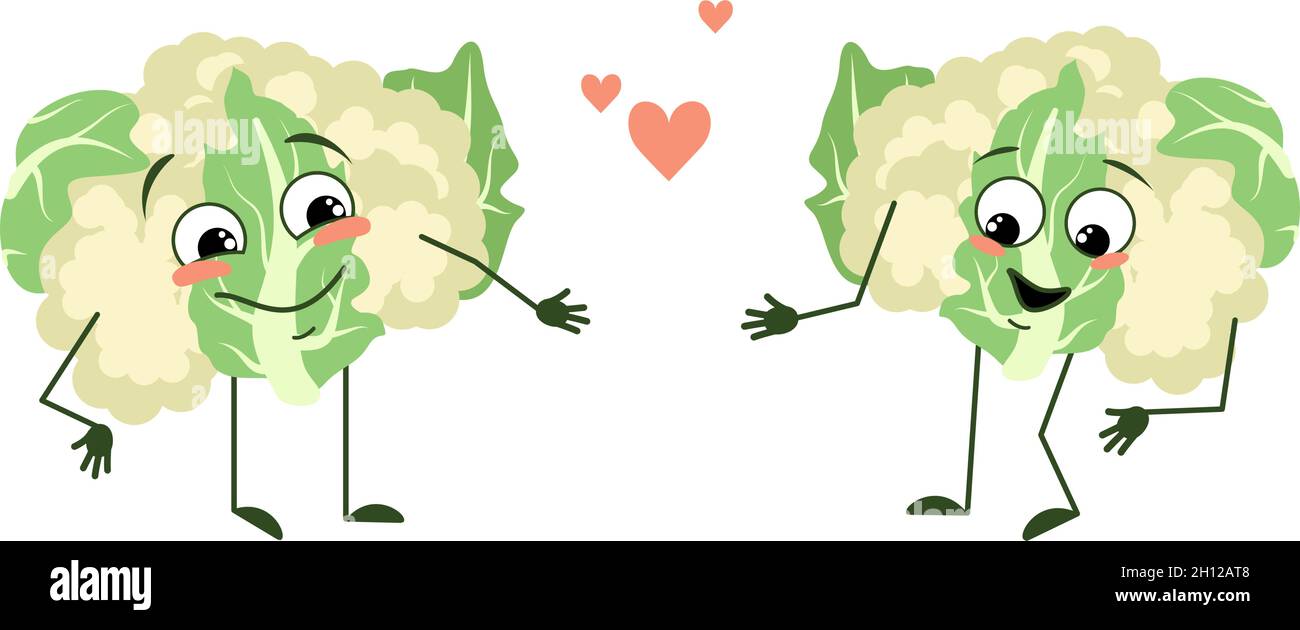 Cauliflower in vegetable garden Stock Vector Images - Alamy