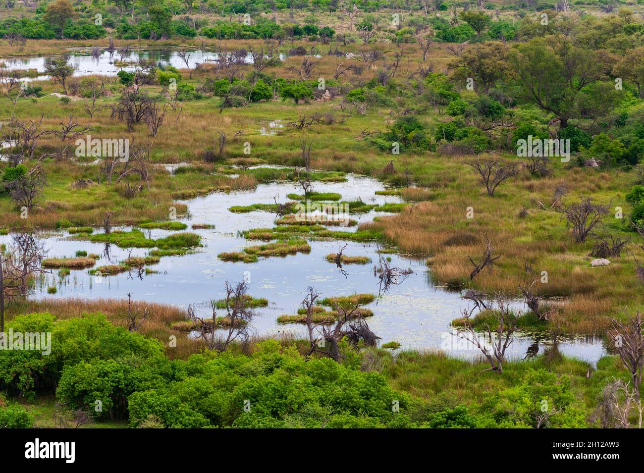 An aerial view of Okavango delta floodplains. Okavango Delta, Botswana ...