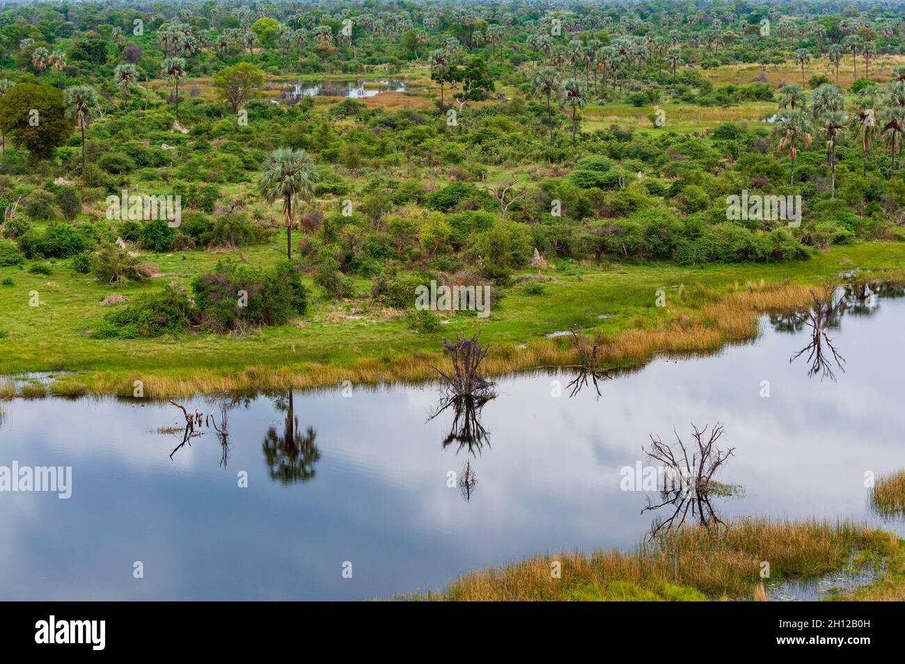 An aerial view the Okavango Delta floodplains. Okavango Delta, Botswana ...