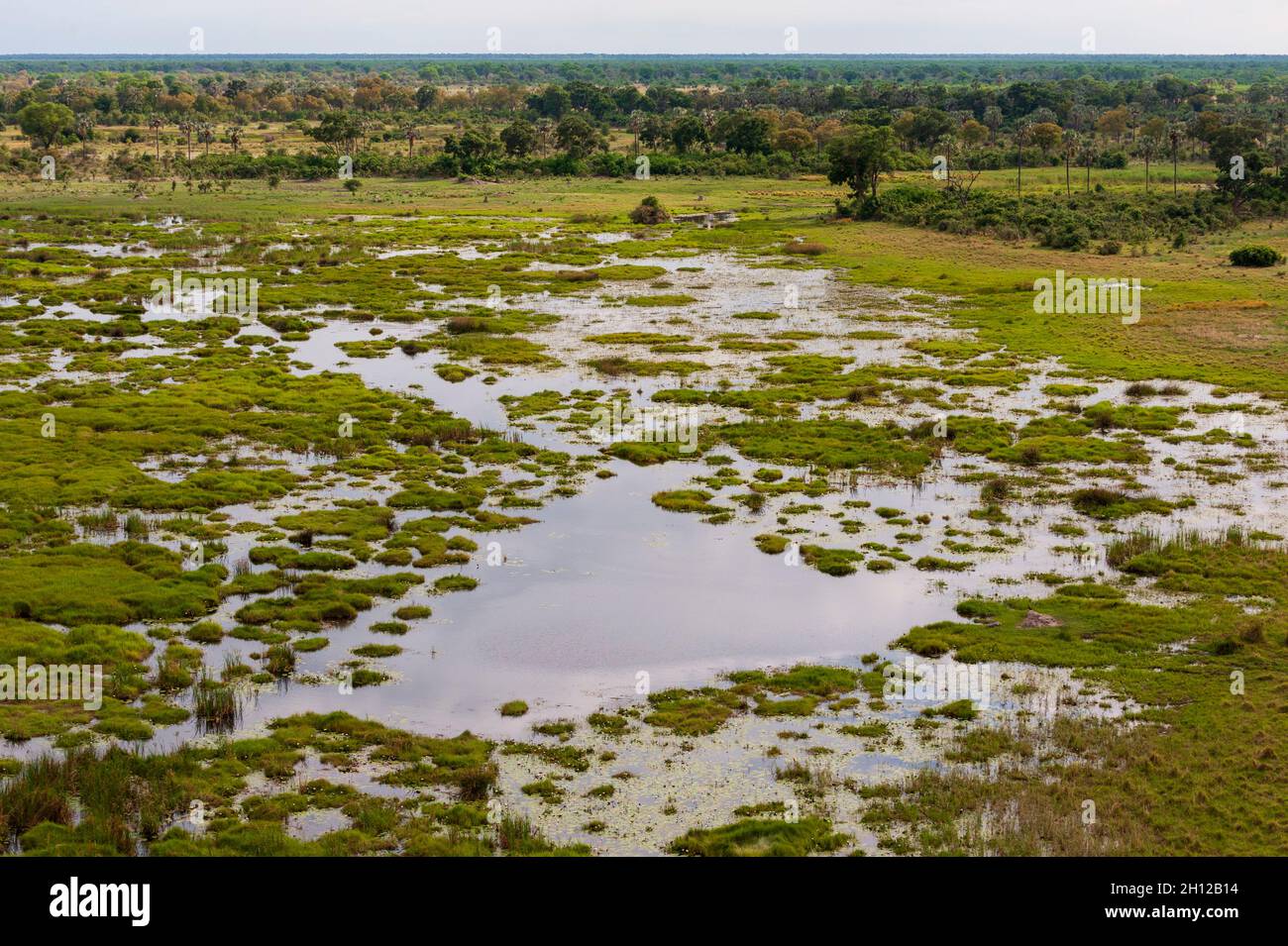 An aerial view of Okavango Delta floodplains. Okavango Delta, Botswana ...
