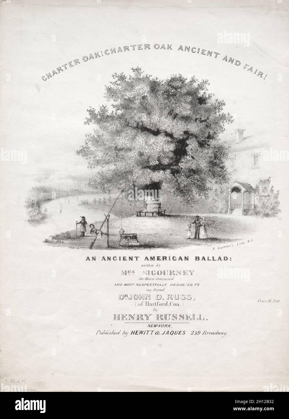 Connecticut charter oak tree hi-res stock photography and images - Alamy