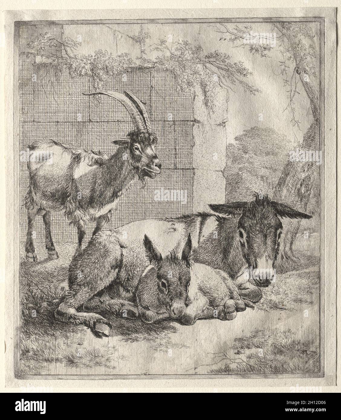 Goat and Donkeys. Johann Heinrich Roos (German, 1631-1685). Etching ...
