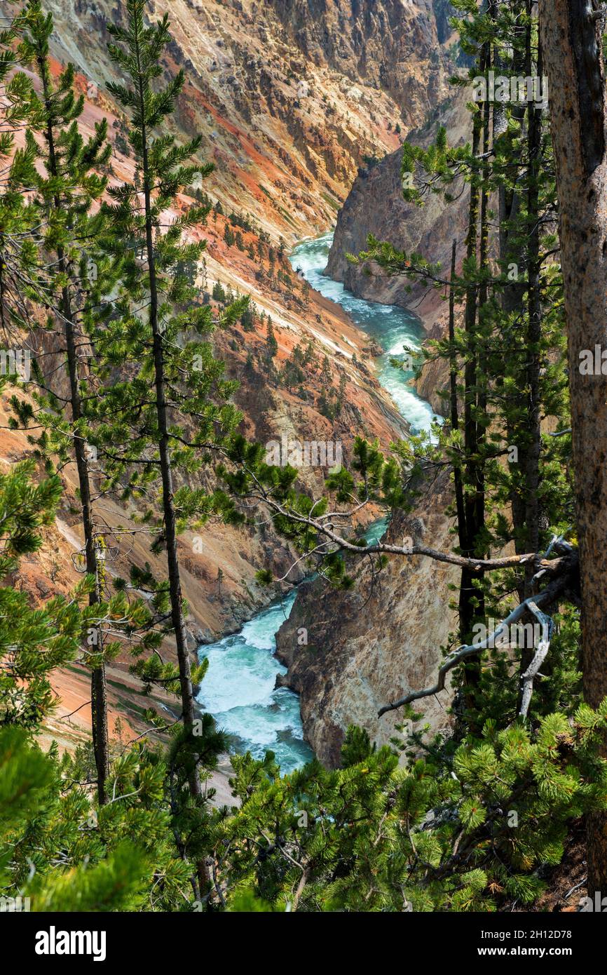 Yellowstone River flows through Grand Canyon of the Yellowstone ...