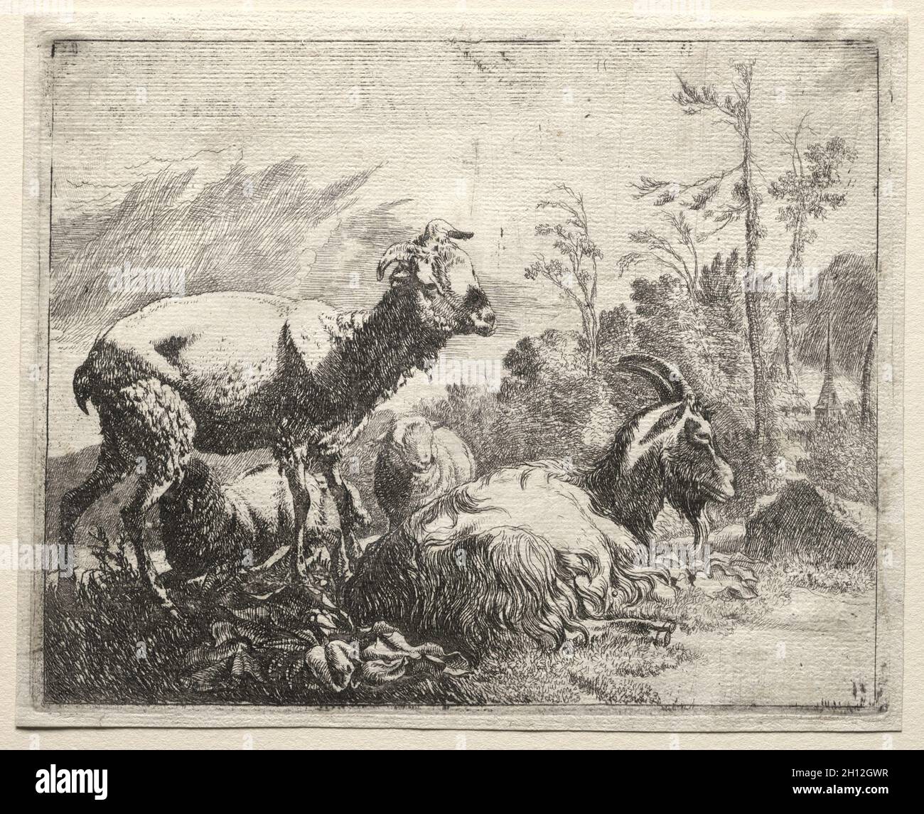 Goats, 1665. Johann Heinrich Roos (German, 1631-1685). Etching Stock ... Goats, 1665. Johann Heinrich Roos (German, 1631-1685). Etching Stock ...