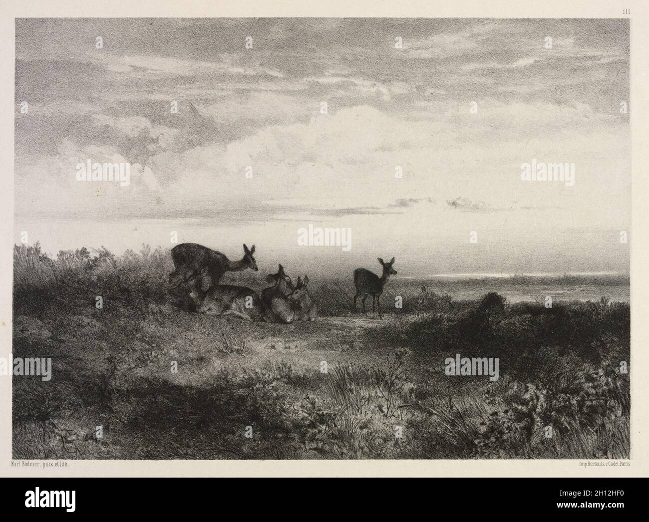 Landscape with Deer, c. 1840. Karl Bodmer (Swiss, 1809-1893 ...