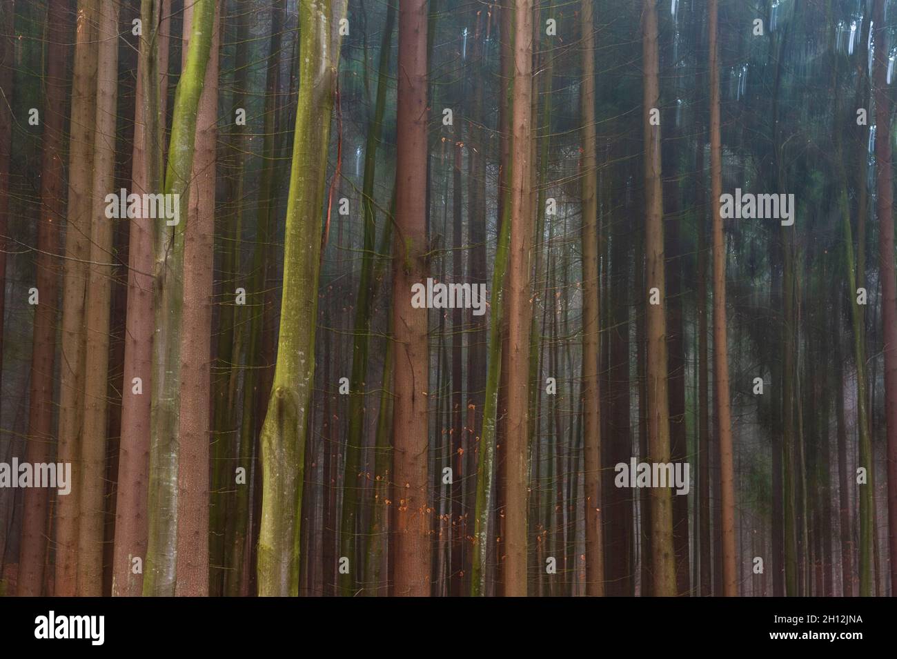 Gentle breeze hi-res stock photography and images - Alamy