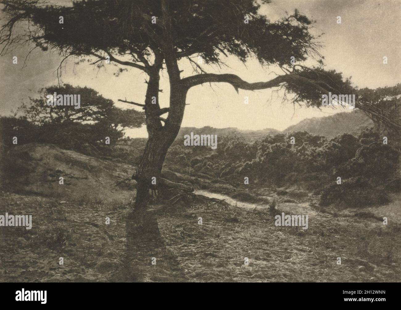 Camera Work: The Long Arm, 1907. George Davison (British, 1856-1930 ...