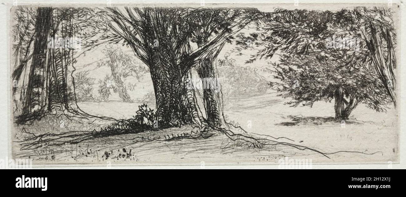 The Holly Field. Francis Seymour Haden (British, 1818-1910). Etching ...