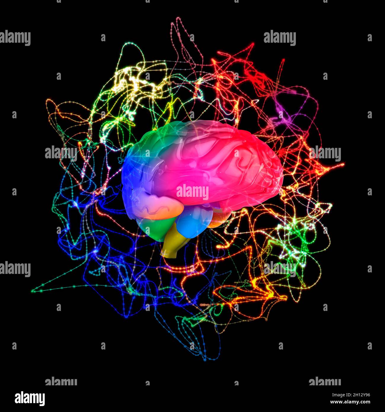 Field of anatomy hi-res stock photography and images - Alamy